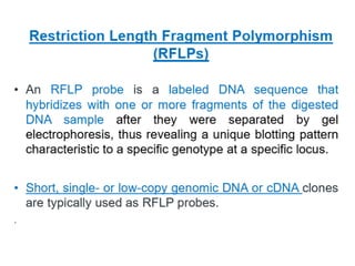 BSC V Sem_Application of Genetic Engineering_ DNA Fingerprinting.pdf