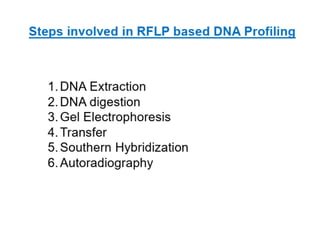 BSC V Sem_Application of Genetic Engineering_ DNA Fingerprinting.pdf