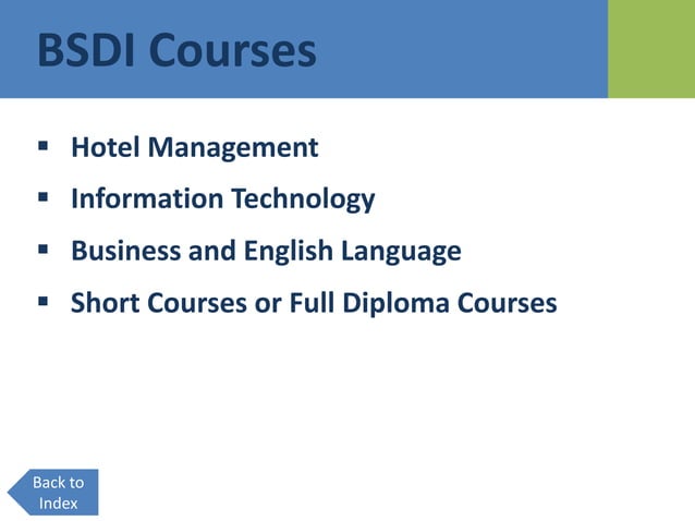 BSDI (Bangladesh Skill Development Institute) | PPTX | Business | Business and Finance