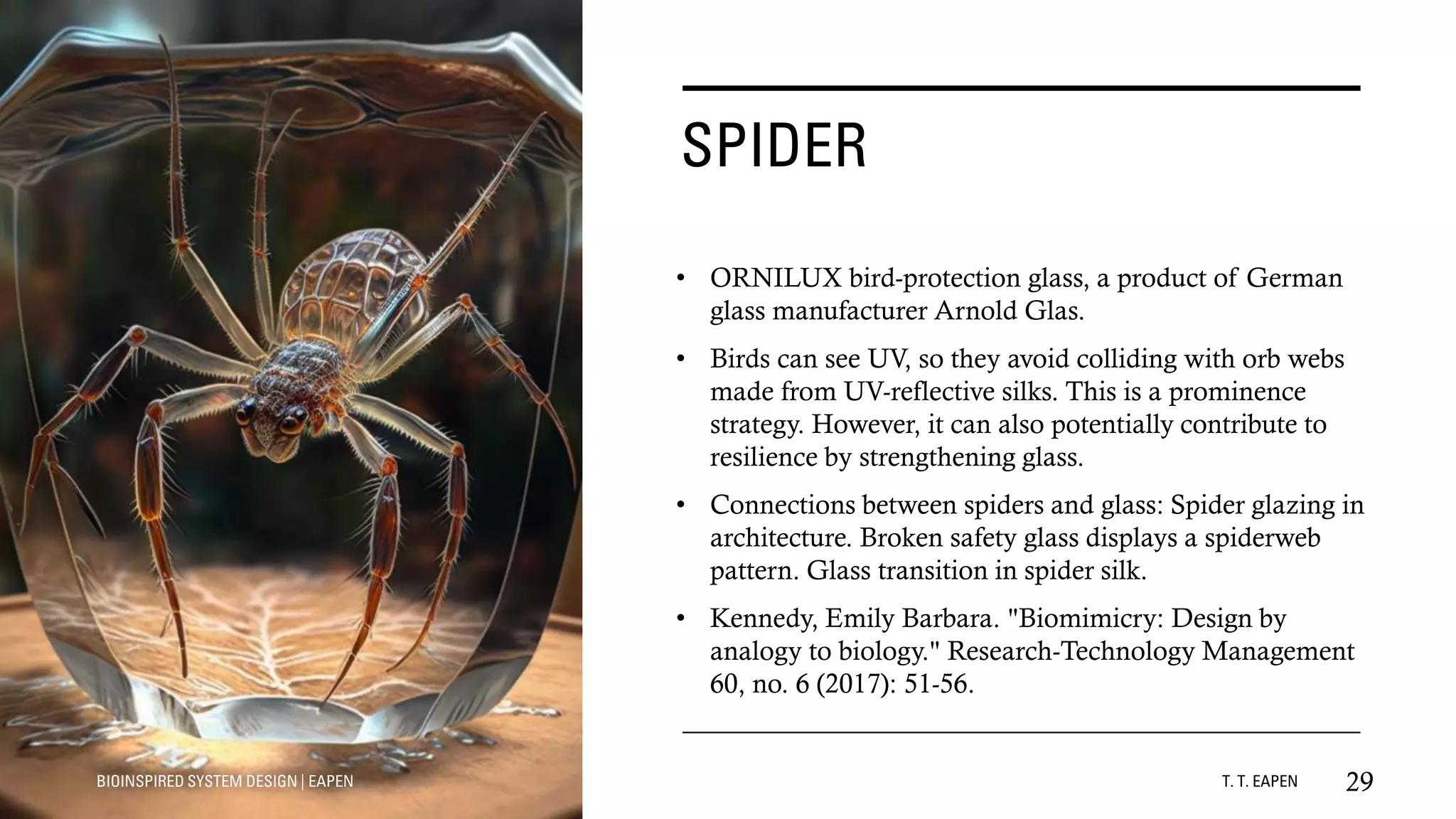 Bioinspired System Design | March 3, 2023 | PPT