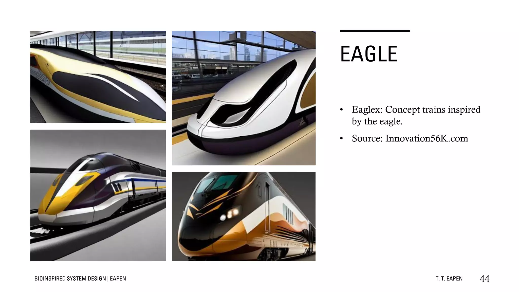 Bioinspired System Design | March 3, 2023 | PPT