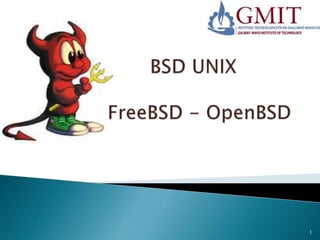 Bsd presentation | PPTX