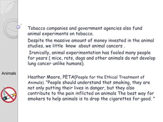 Animals and cigarette | PPT