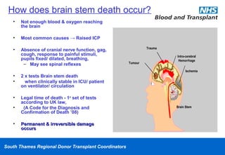 Brain Stem Death Testing | PPT