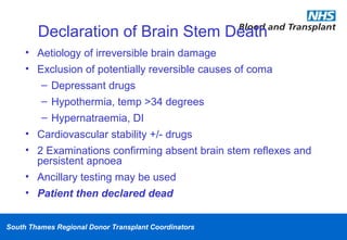Brain Stem Death Testing | PPT