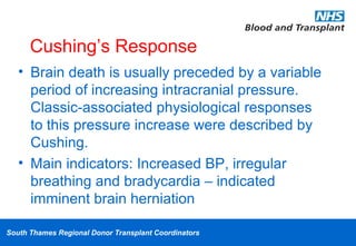 Brain Stem Death Testing | PPT