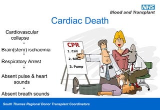 Brain Stem Death Testing | PPT
