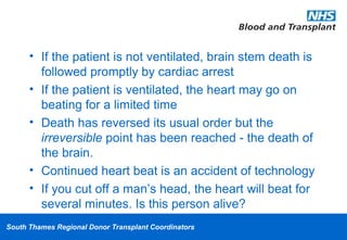 Brain Stem Death Testing | PPT