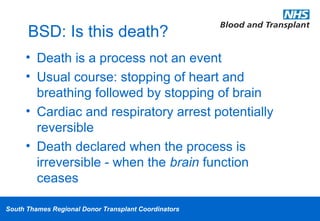 Brain Stem Death Testing | PPT