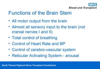 Brain Stem Death Testing | PPT