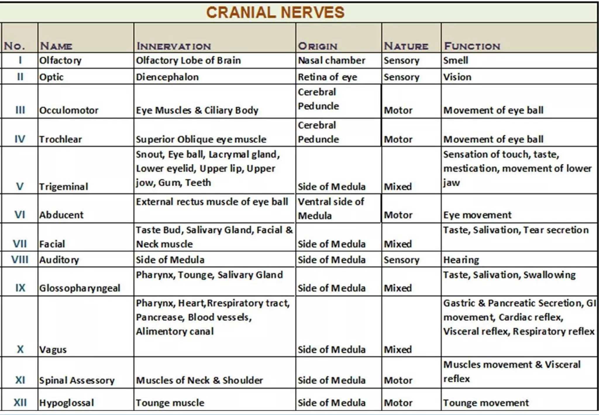 Brain Stem Death Testing and Organ Donation | PPT