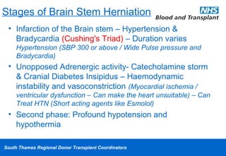 Brain Stem Death Testing and Organ Donation | PPT