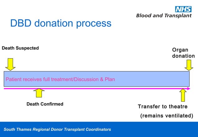 Brain Stem Death Testing and Organ Donation | PPT