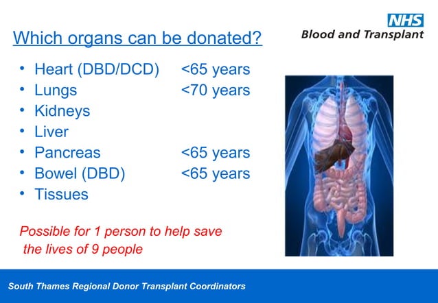 Brain Stem Death Testing and Organ Donation | PPT