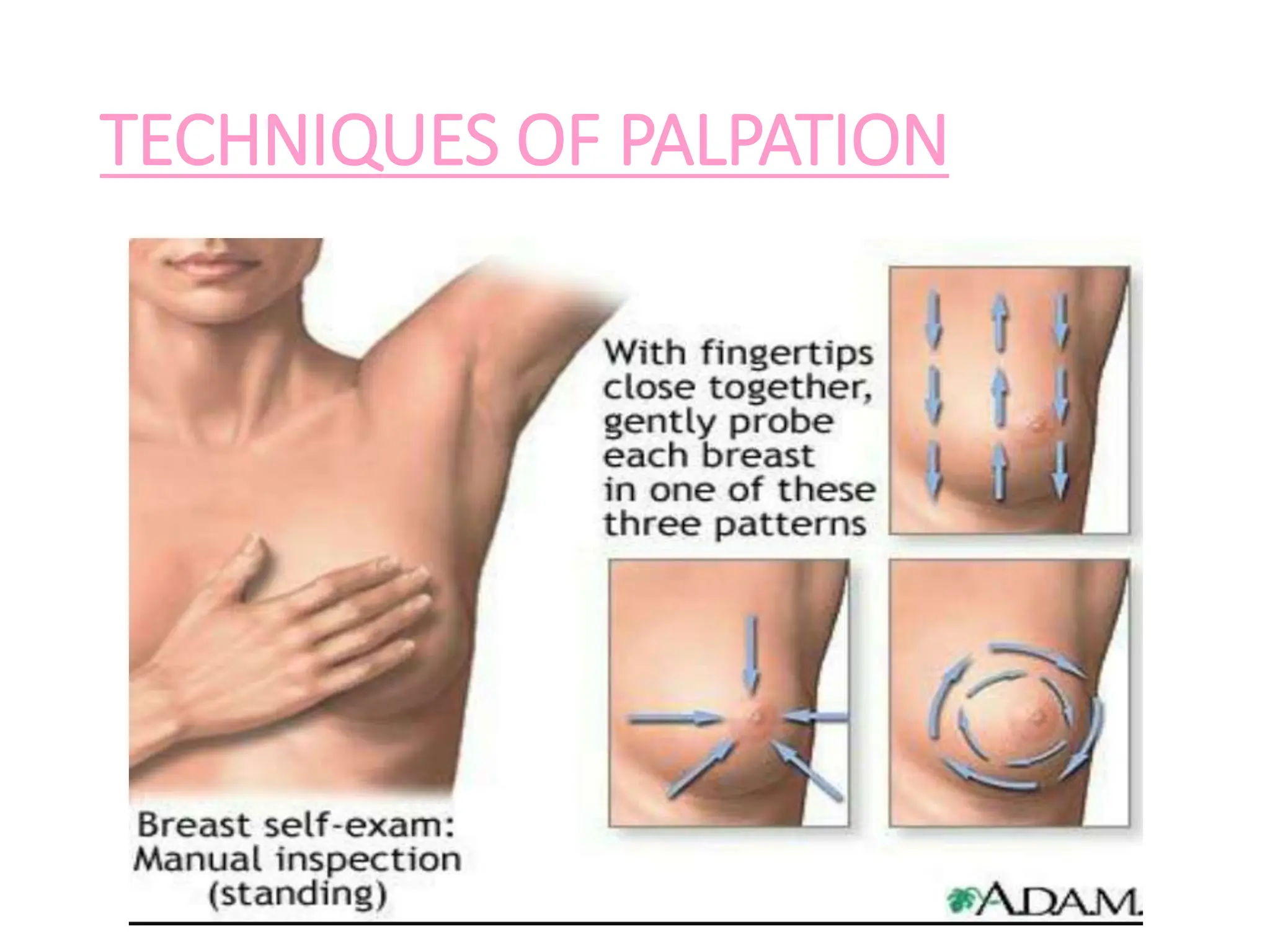 Breast Self Examination And Abnormalities Pptx