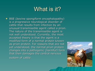 B S E Presentation | PPT