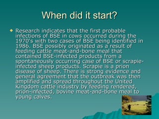 B S E Presentation | PPT