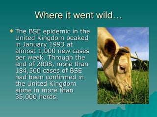 B S E Presentation | PPT