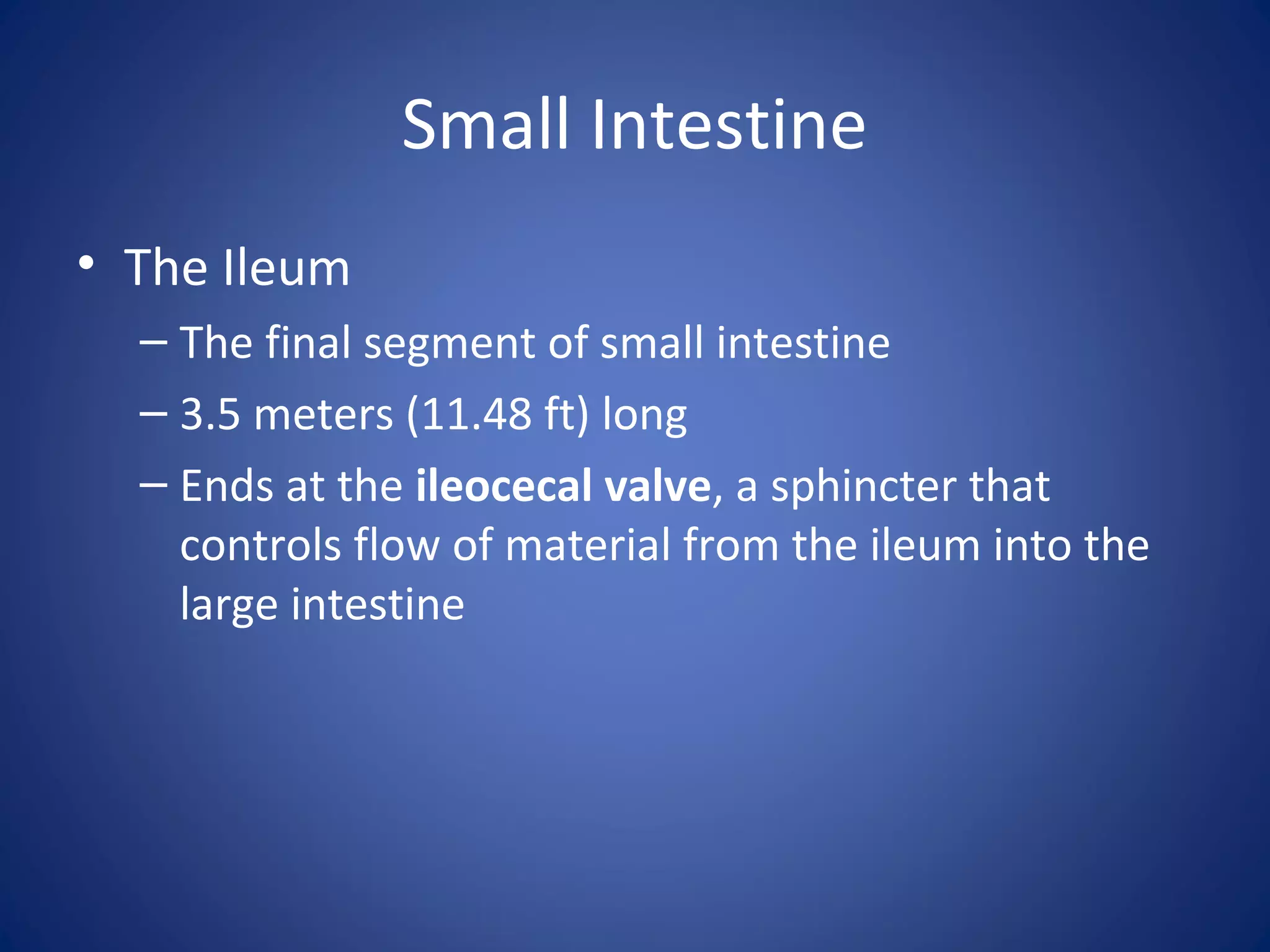 Bs ed,gen sc,human digestive system.unit 13 | PPT