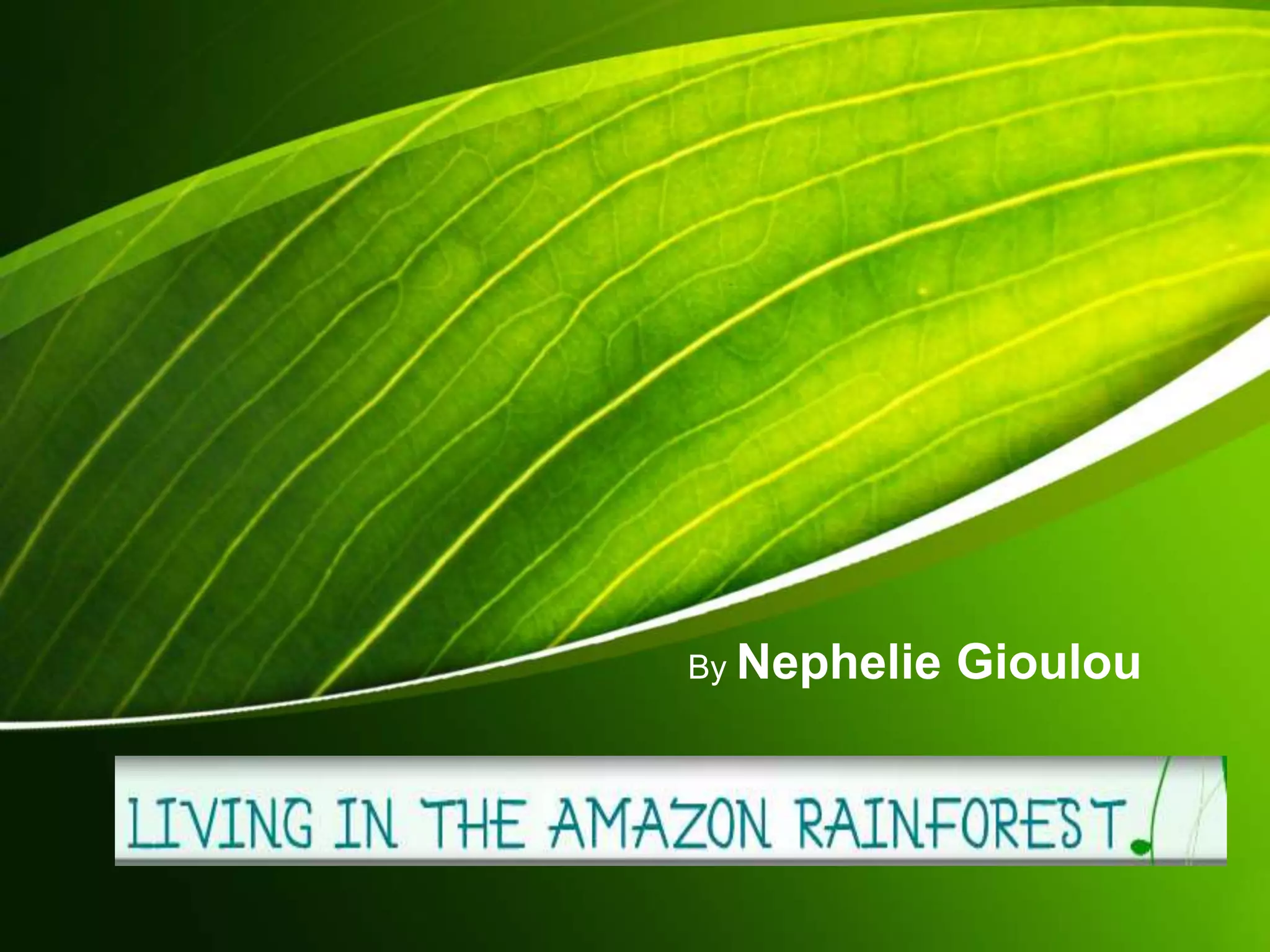 The Amazon Rainforest | PPTX
