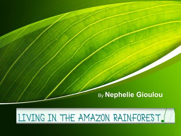 The Amazon Rainforest | PPTX | Geography | Science