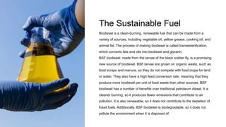 BSF - Black-Soldier-Fly.pptx