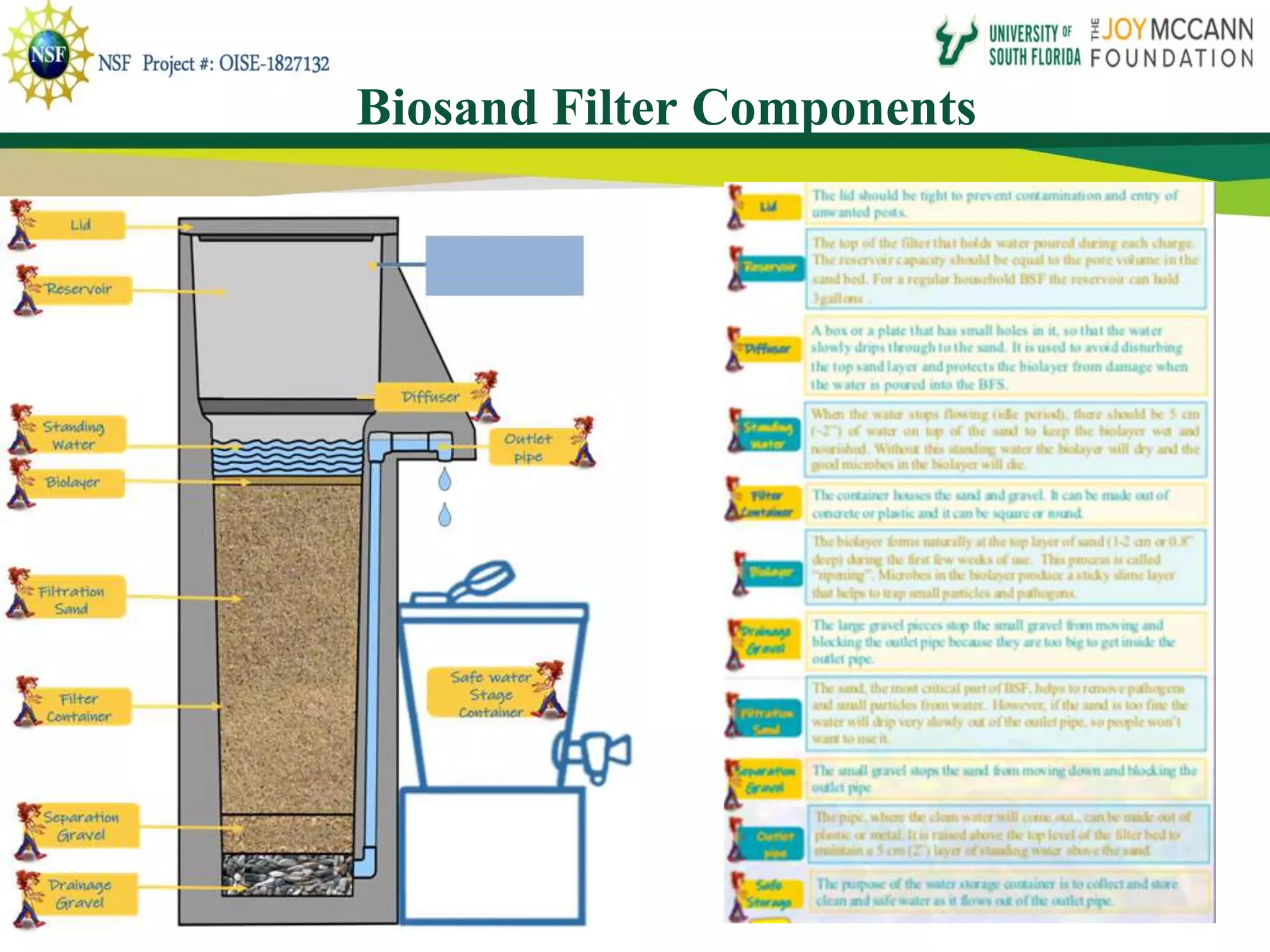 bsf-introduction.pptx
