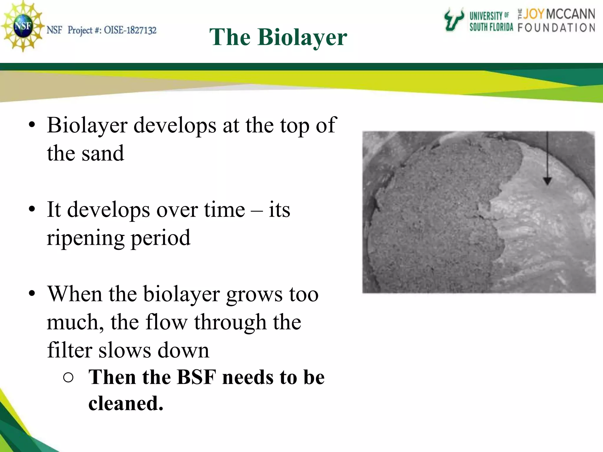 bsf-introduction.pptx