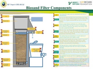 bsf-introduction.pptx