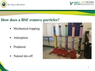 bsf-introduction.pptx