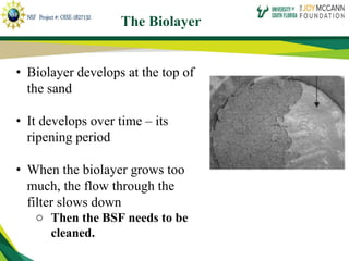 bsf-introduction.pptx