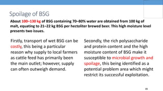 Utilization of Brewer’s Spent Grain Protein isolate as a nutritional ...