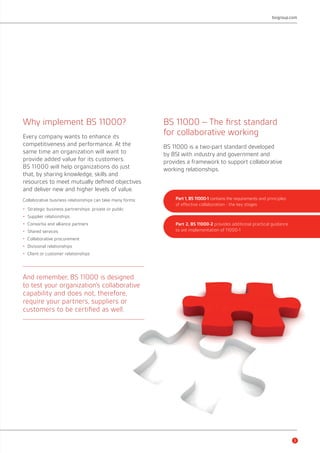 Bsi bs11000-product-guide | PDF