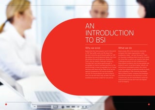 Bsi brochure 2012_en | PDF