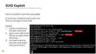 Check Your Privilege (Escalation) | PPT