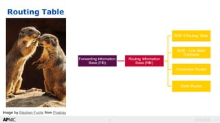BSides: BGP Hijacking and Secure Internet Routing | PPT
