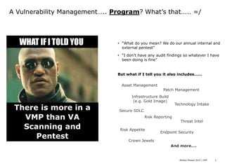 Vulnerability Management Program | PDF