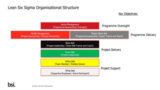 BSI Lean Six Sigma Programmes - A Short Overview Presentation | PPTX