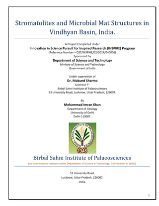 Stromatolites and MISS | PDF