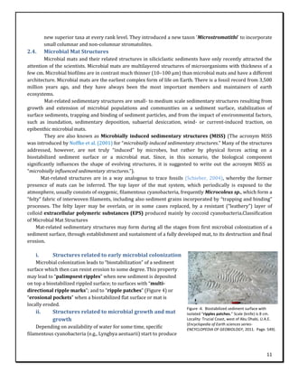 Stromatolites and MISS | PDF