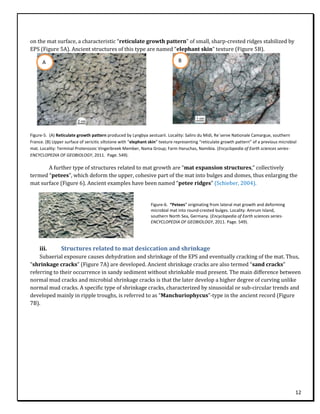 Stromatolites and MISS | PDF