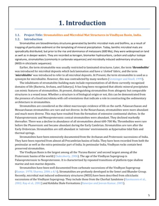 Stromatolites and MISS | PDF