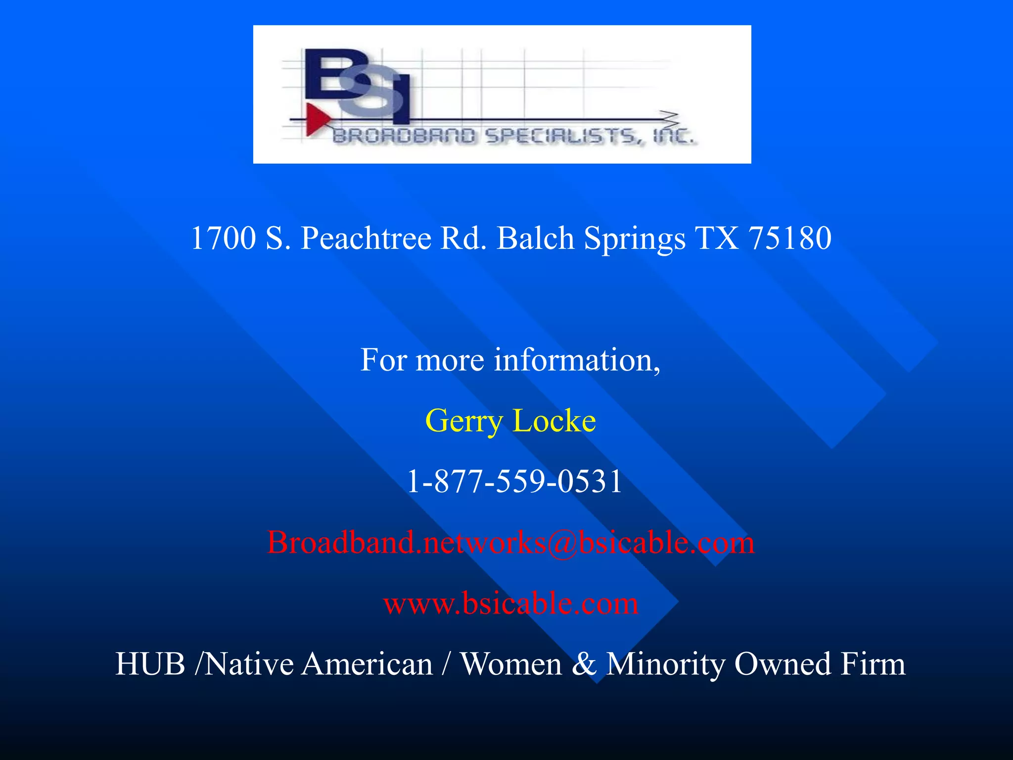 BSI Subsurface Utility Engineering | PDF