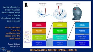 The Metastable Brain by Emmanuelle Tognoli - Brain Space Initiative | PPT