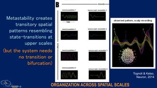 The Metastable Brain by Emmanuelle Tognoli - Brain Space Initiative | PPT