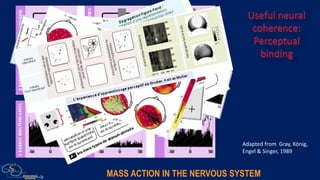 The Metastable Brain by Emmanuelle Tognoli - Brain Space Initiative | PPT