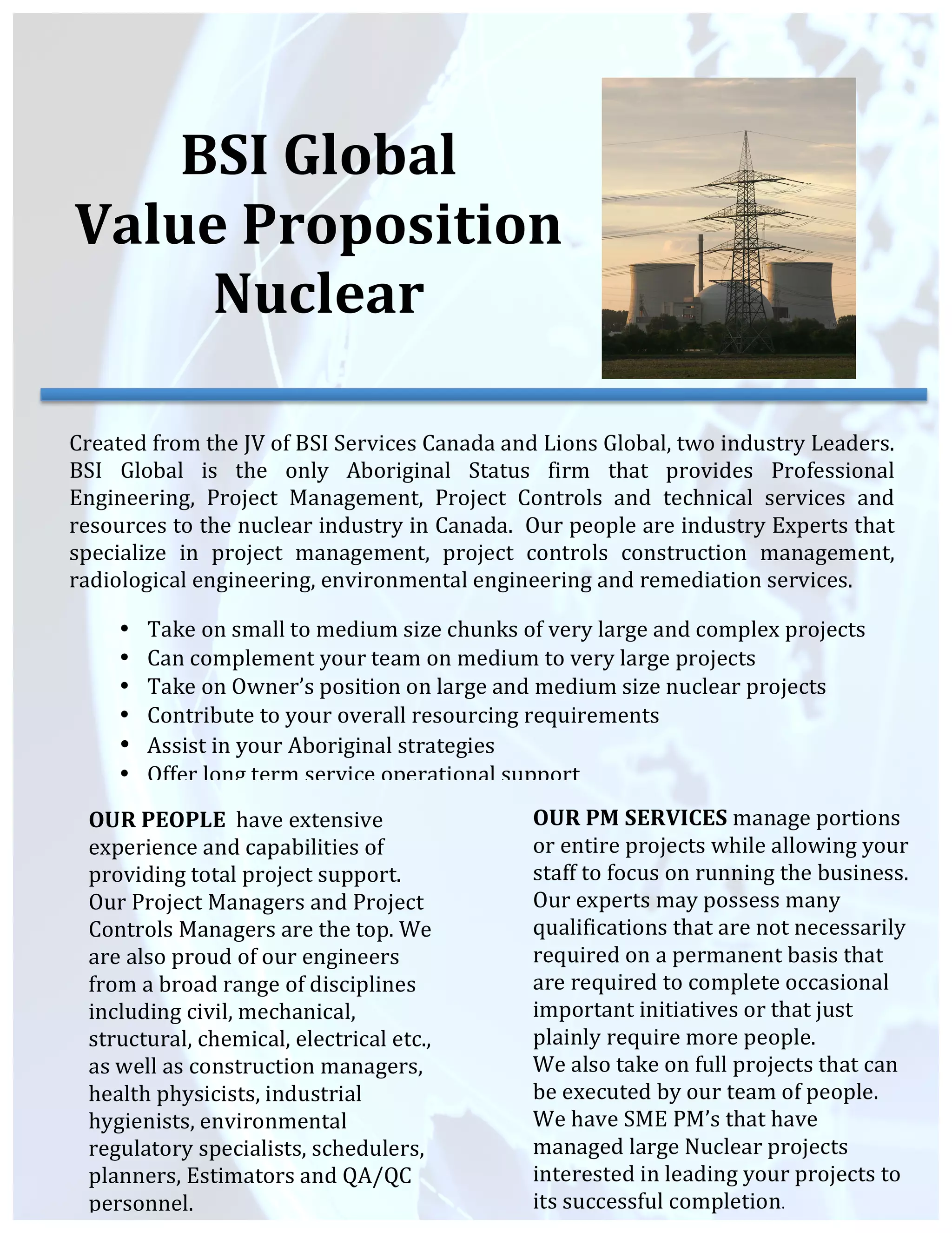 BSI GLOBAL Professional Services | PDF | Civil Engineering Industry ...