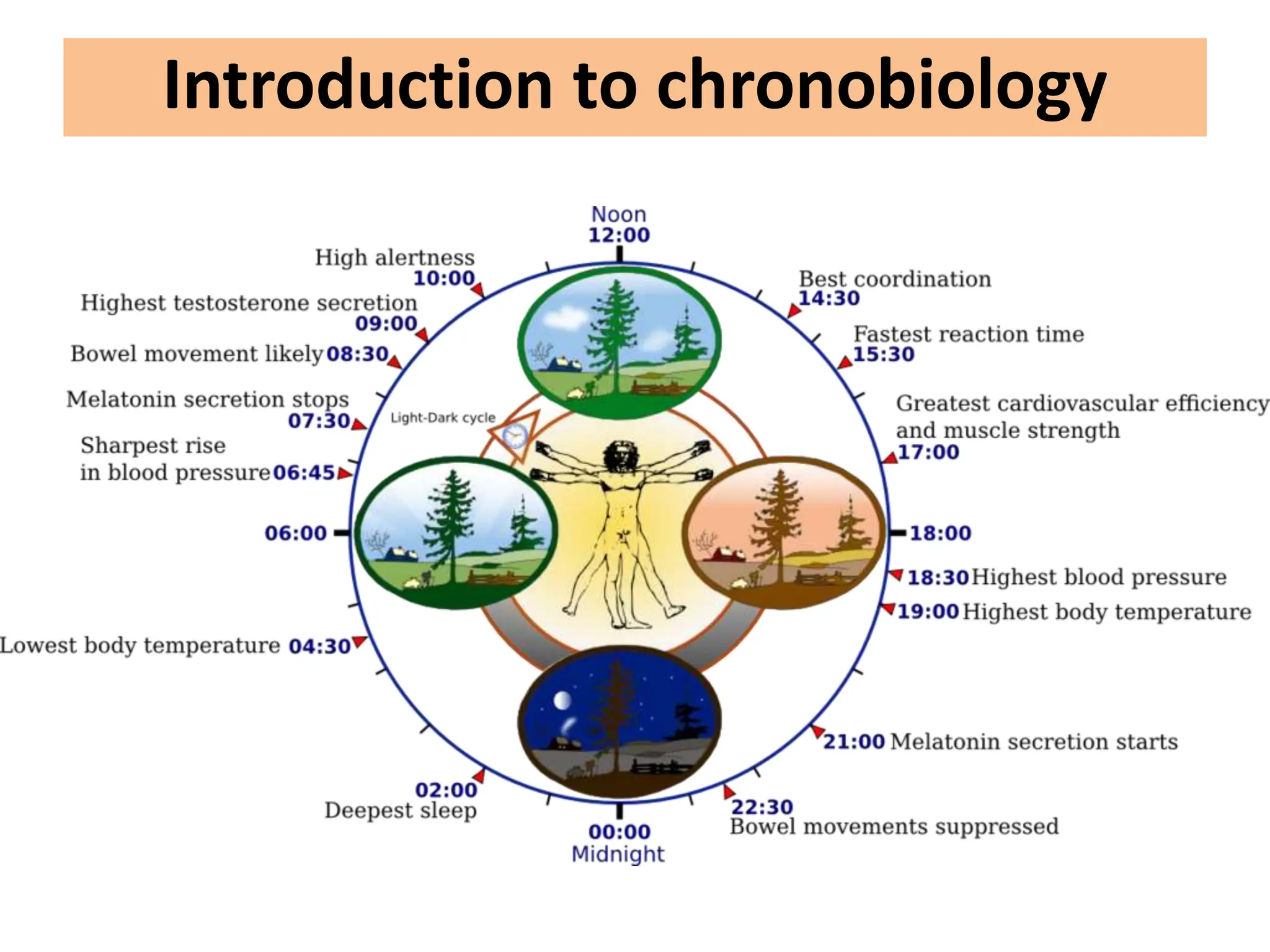 BS_Lecture1_Introduction in chronobiology.pptx