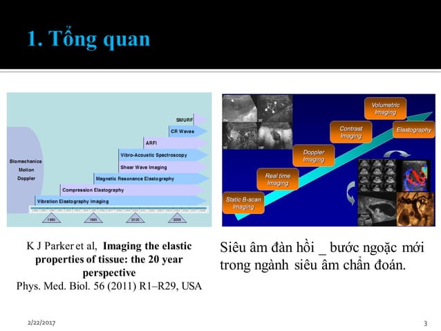 Tổng quan siêu âm đàn hồi và ứng dụng trong cơ xương khớp, Bs Liêm | PDF