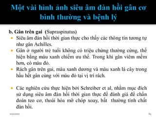 Tổng quan siêu âm đàn hồi và ứng dụng trong cơ xương khớp, Bs Liêm | PDF